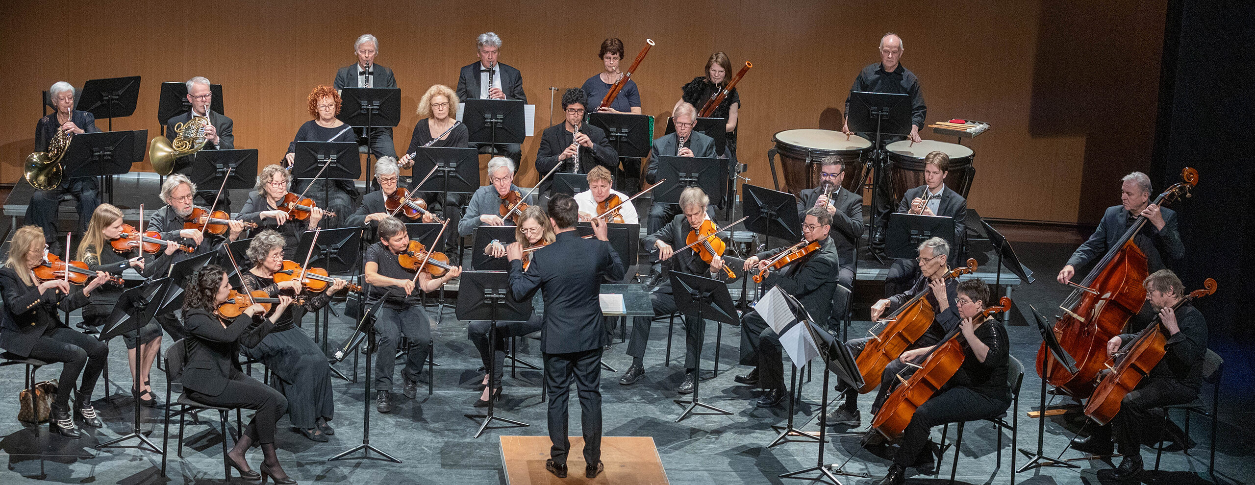 Valkenswaards Kamerorkest - Hofnar